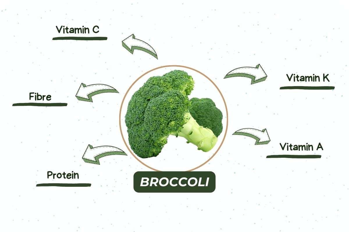 The Power of Green: Unleashing the Health Benefits of Broccoli! - Built ...