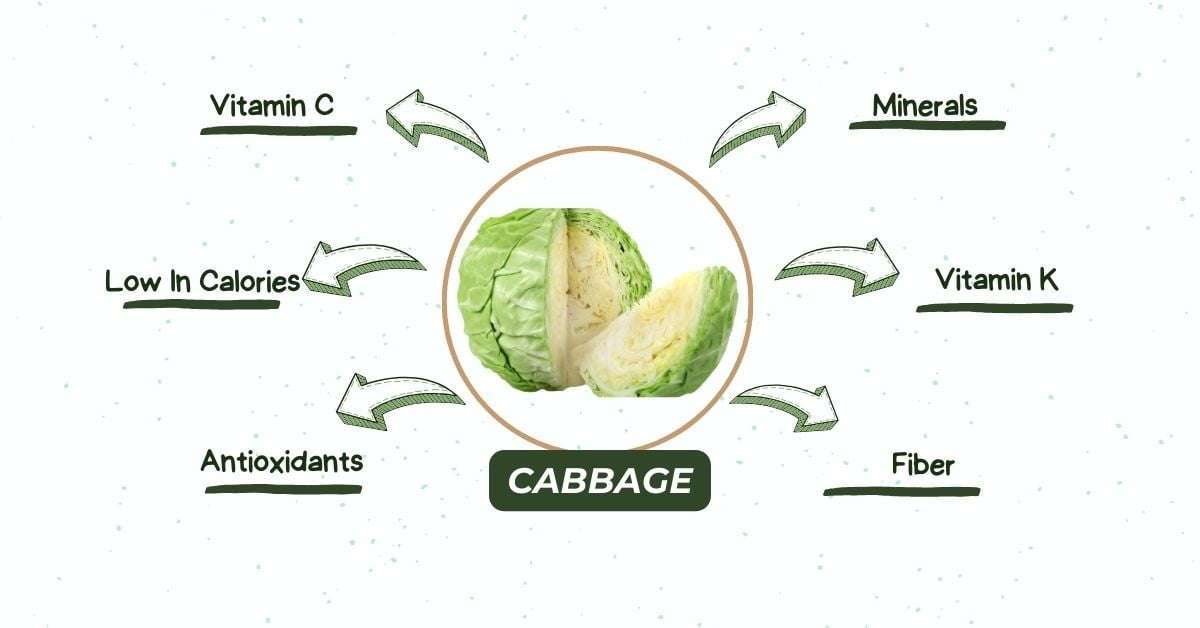 Cabbage Health Benefits: From Weight Loss to Fighting Inflammation ...