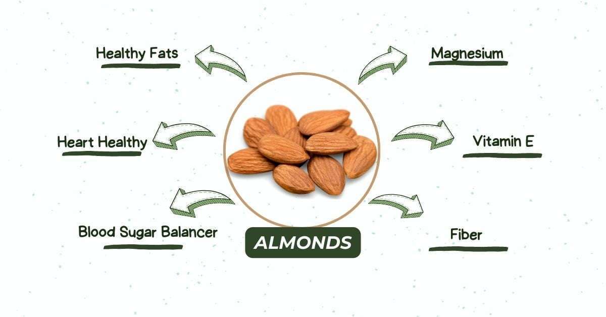 Why the Nutritional Benefits of Almonds are Rocking the Health Food ...